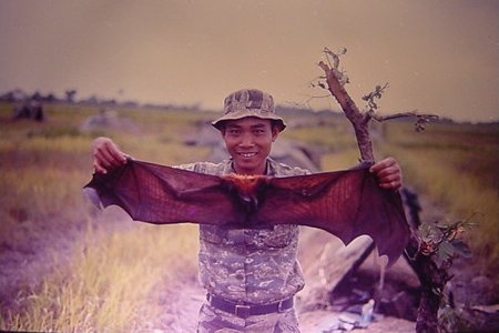 Vietnam Helicopter insignia and artifacts - Images of Vietnam